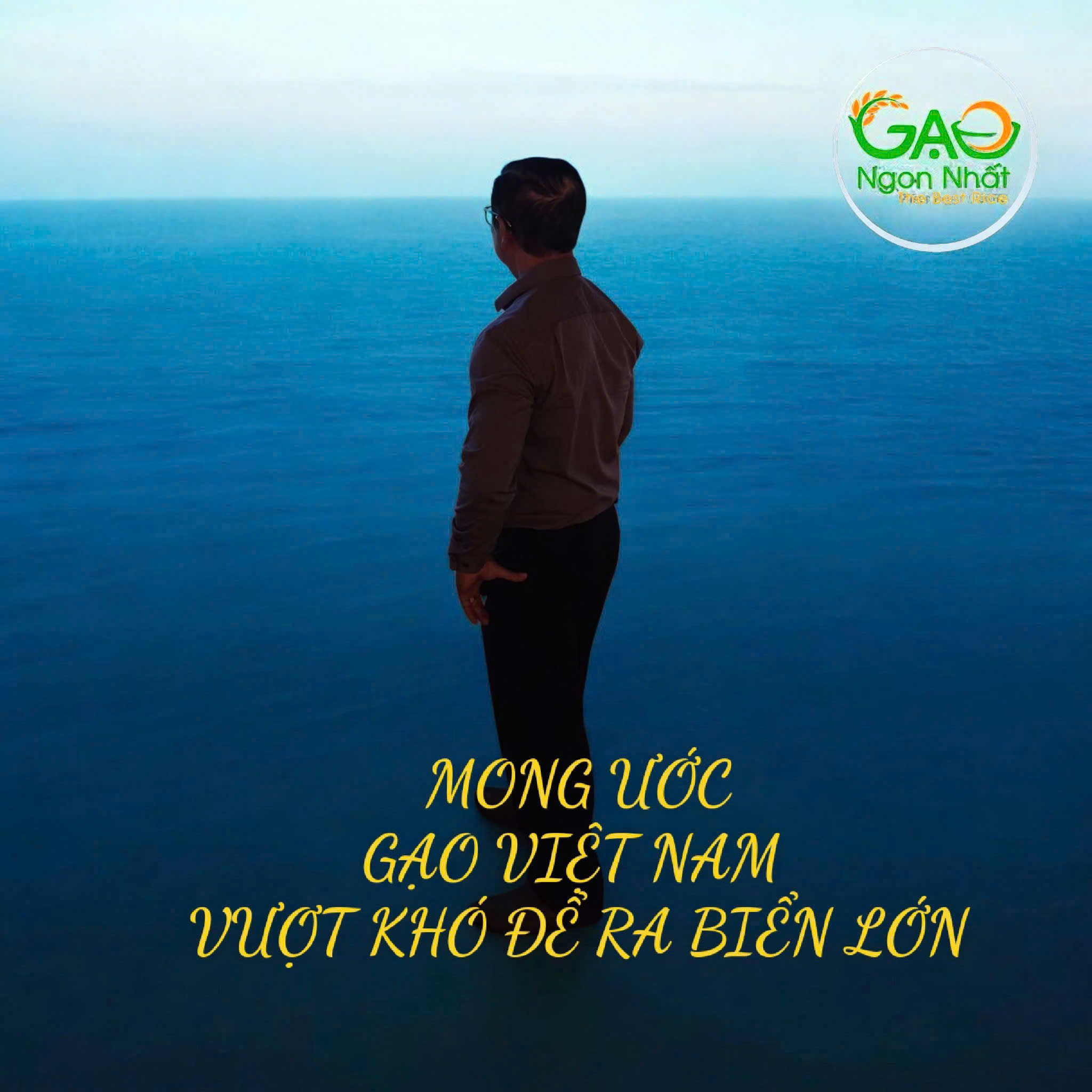 Cập nhật thông tin mới nhất về hoạt động của Phó Thủ Tướng Việt Nam tại ...